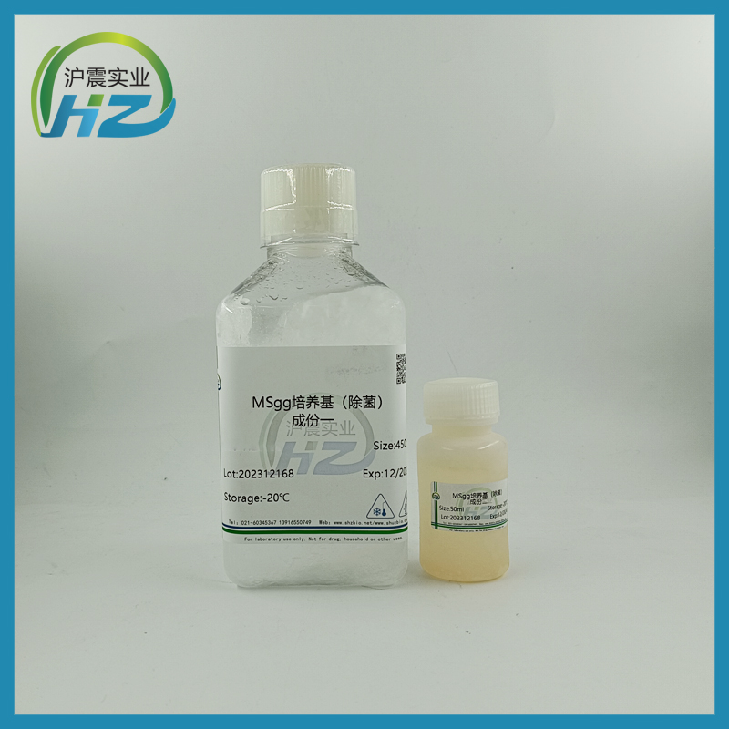 MSgg培养基（除菌） HZ0130 - 沪震生物官方商城 - 沪震生物-试剂盒,ELISA试剂盒, 检测试剂盒抗体,细胞,原代细胞,ATCC ...