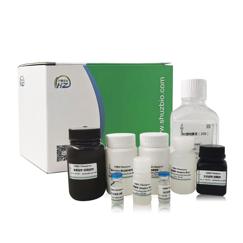 NP-40裂解液 (NP-40 Lysis Buffer) HZ57802N - 沪震生物官方商城 - 沪震生物-试剂盒,ELISA试剂盒, 检测试剂盒抗体,细胞,原代细胞,ATCC细胞,重组 ...